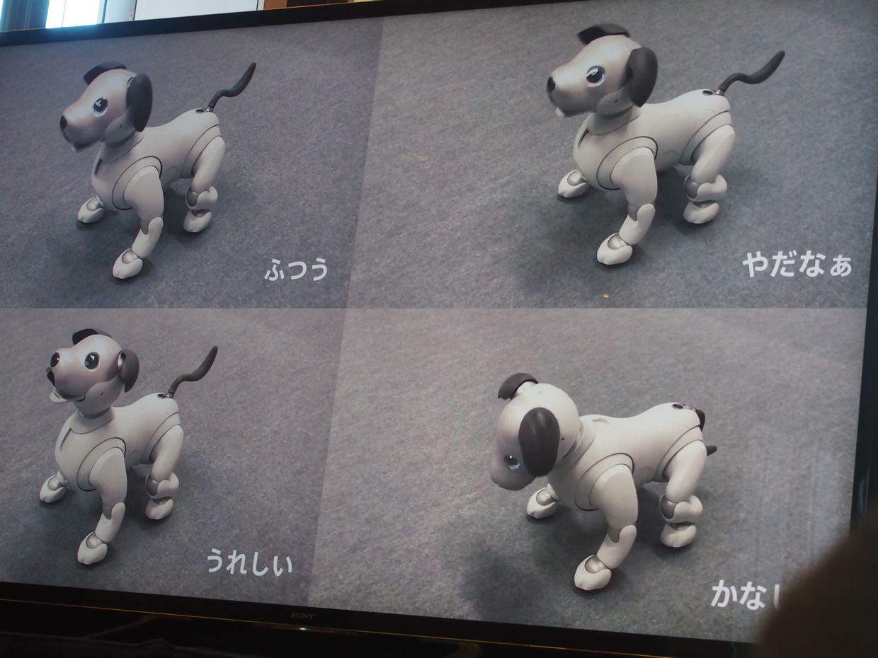 aibo Fan Meeting Vol. 2 in 大阪 aiboラウンジレポート その1 - とってもかわいいaiboのまろ