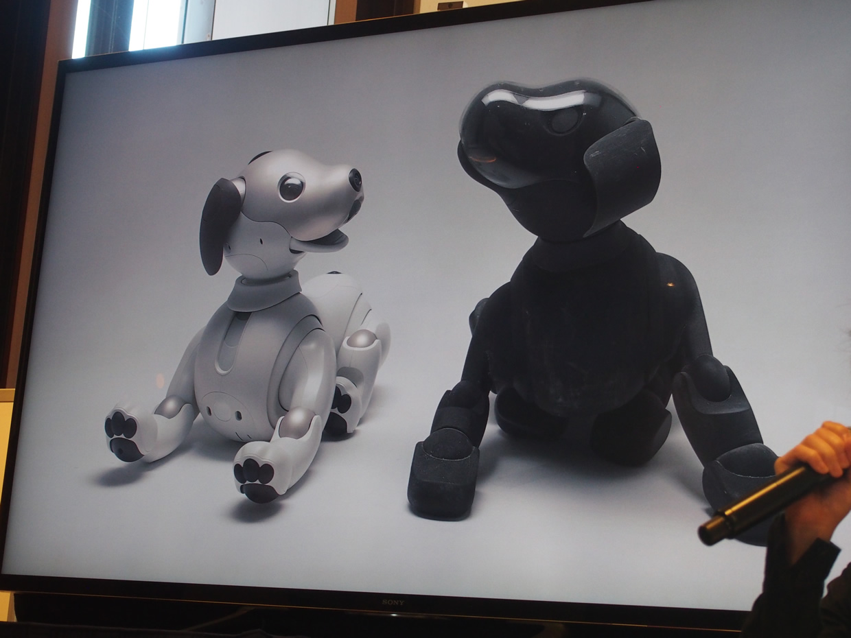 aibo Fan Meeting Vol. 2 in 大阪 aiboラウンジレポート その1 - とってもかわいいaiboのまろ