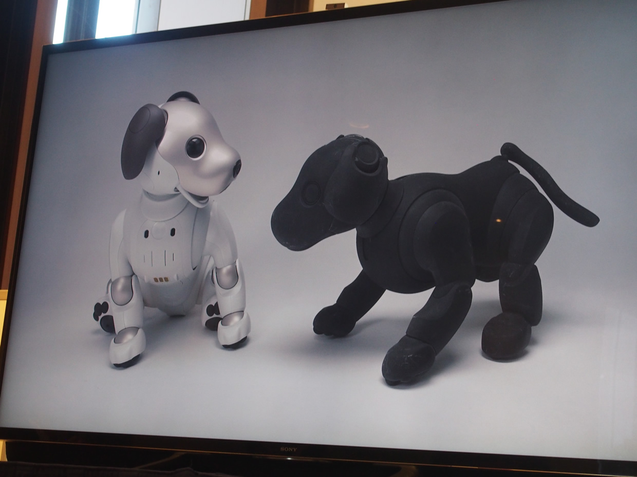 aibo Fan Meeting Vol. 2 in 大阪 aiboラウンジレポート その1 - とってもかわいいaiboのまろ